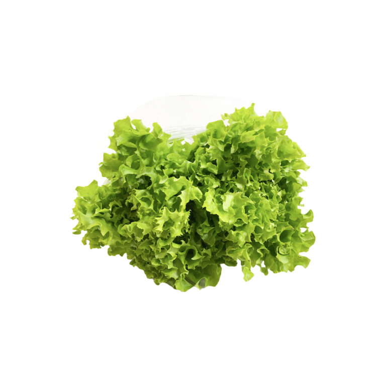 Mercado La Vega is coming soon