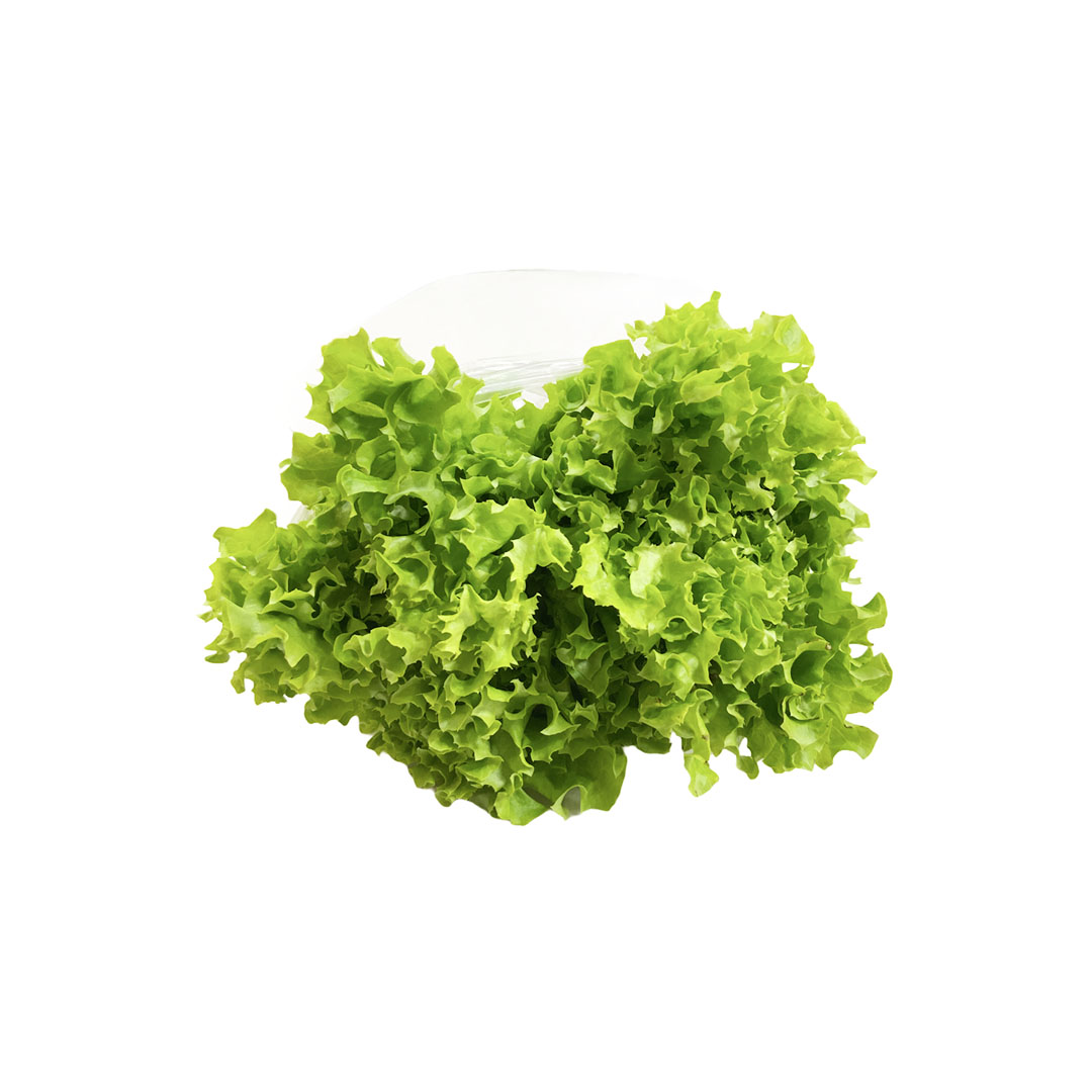 Mercado La Vega is coming soon