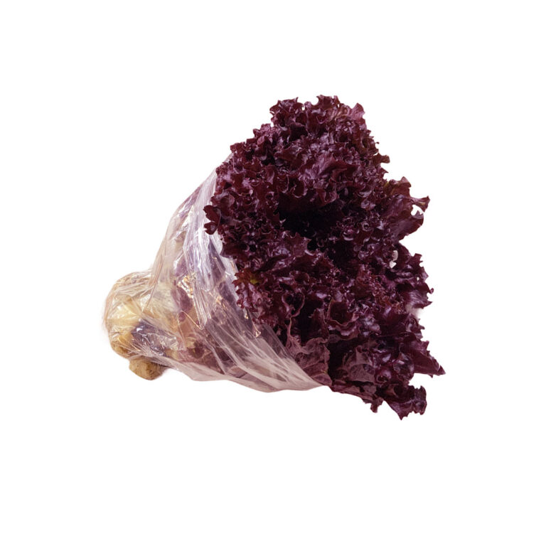 Lechuga Hidropónica Lollo Rossa 2u - Mercado La Vega